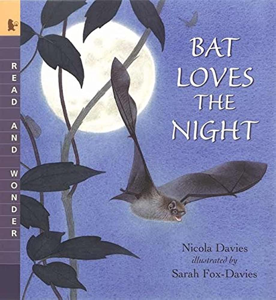 Bat Loves the Night Paperback – Picture Book_英语原版书_英文书籍_魔法亲子绘本屋